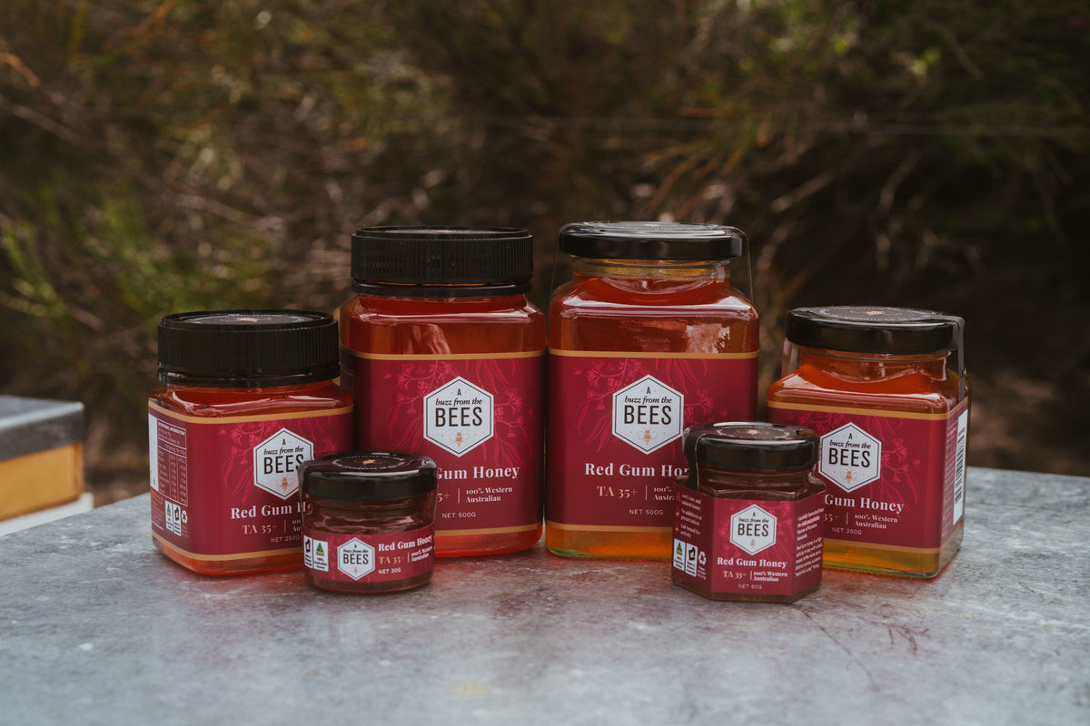 Red Gum honey (TA30+) – A Buzz from the Bees